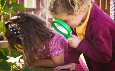 News - Dishforth Church of England Primary School